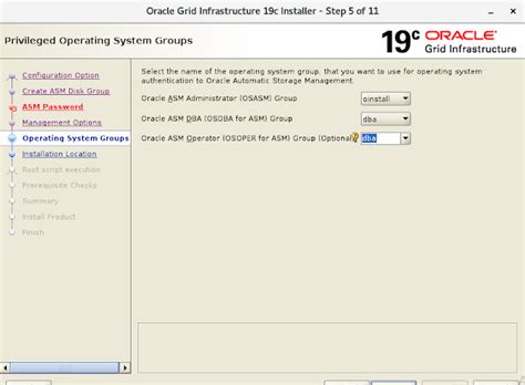 19c Grid Installation Standalone On Linux 7 9