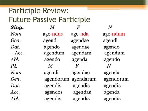 Ppt Participle Review Powerpoint Presentation Free Download Id 2242044