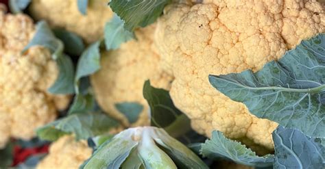 건강 식품 건강한 계절 날 것 노란색 농산물 시장 농업 농작물 다이어트 러스틱 바구니 브라 시카 브라 시카 올레 라 세아 비 Gmo 비건 채식