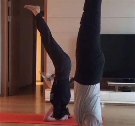 아이유 집에서 하는 ‘고난이도 요가 동작 공개 효리가 예뻐할 만 하네” 일요신문