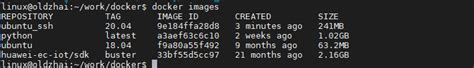 ubuntu环境下docker容器详细安装使用 ubuntu docker csdn博客