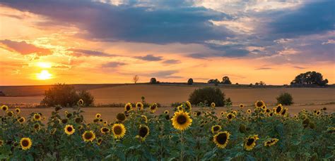 Pixies Realm Of Memes Home Facebook