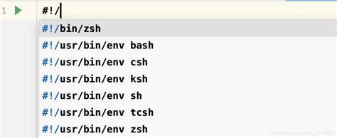 bin bash 和 usr bin env bash 的区别 csdn博客