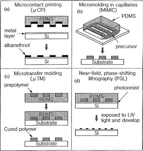 Soft Lithography Processes A Microcontact Printing B Micromolding