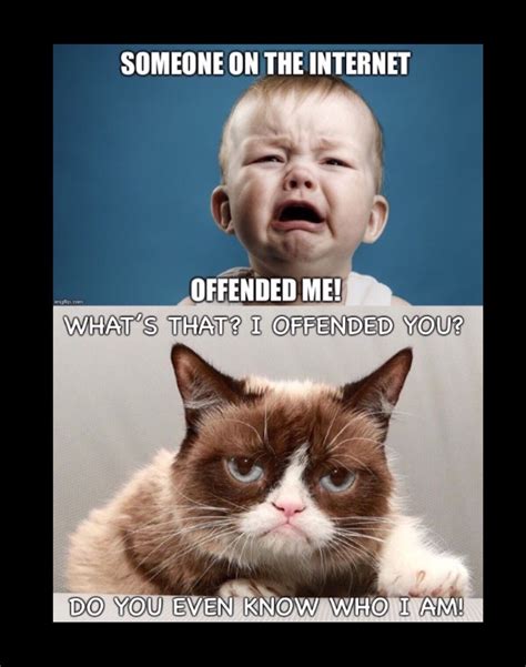 Grumpy Cat Meme Comics