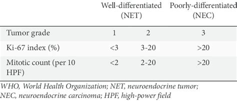 Grading Of Pancreatic Neuroendocrine Tumors According To The Who 2010
