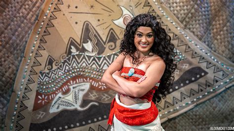 Moana Meet And Greet To Continue At Disneys Animal Kingdom After New