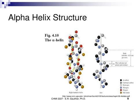 Ppt Alpha Helix Structure In Proteins Powerpoint Presentation Free