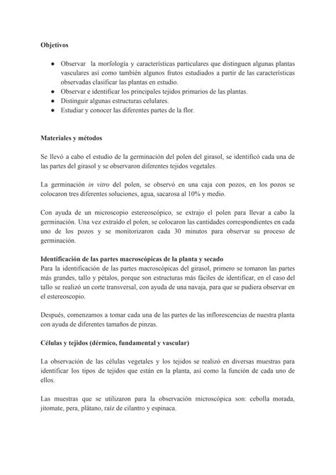 Solution Pr Ctica Observaci N De La Morfolog A De Helianthus Annuus Y Tejidos De Otras
