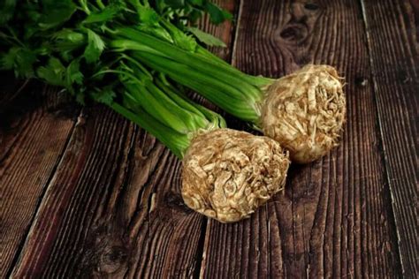Best Parsnip Substitute Ideas A Guide To Delicious Swaps