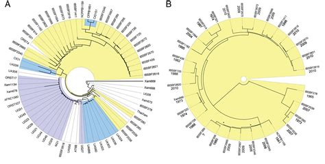 Figure 2 From High Throughput Genomic Sequencing Of Cassava Bacterial Blight Strains Identifies