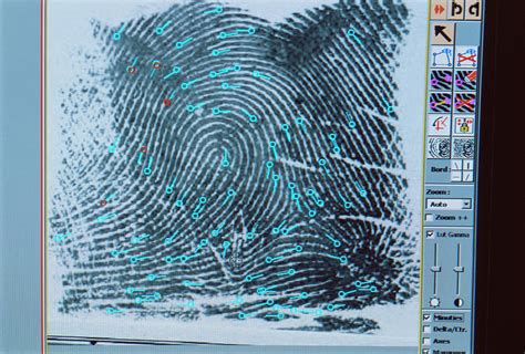 Fingerprint
