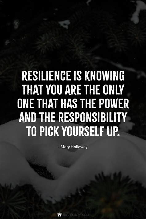 56 Resilience Quotes For True Lasting Strength Bright Drops