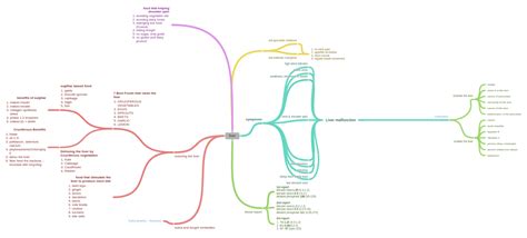 Liver Coggle Diagram