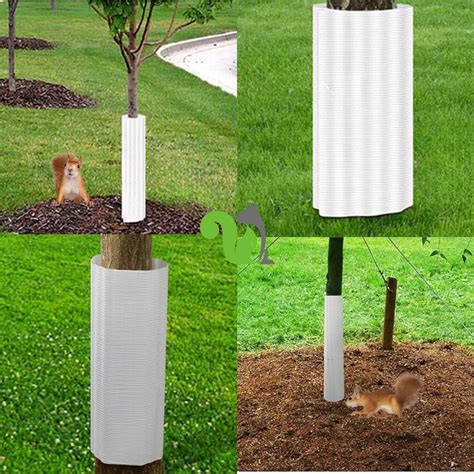 Squirrel Tree Baffle 6 Pack Zero Squirrels