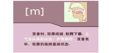 国际音标发音口型图解 打印版 Word文档在线阅读与下载 免费文档