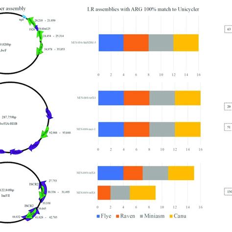 A Schematic To Compare Klebsiella Arg Detection From The Unicycler Download Scientific