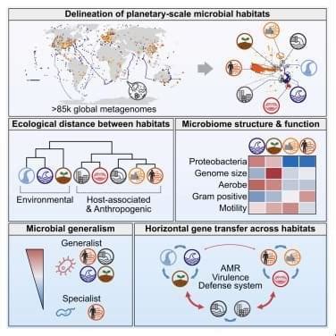 Planetary Microbiome Structure And Generalist Driven Gene Flow Across