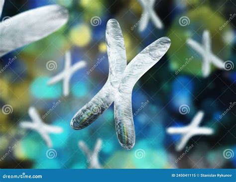 Sex Chromosome XY Chromosomes In Molecular Fluid Design Symbol Isolated On White Background