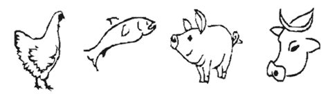 Getting A Line Drawing From Tracing A Bitmap Coreldraw Graphics Suite X4 Coreldraw Graphics