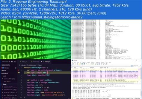Reverse Engineering Debugging And Malware Analysis 2021 Softarchive
