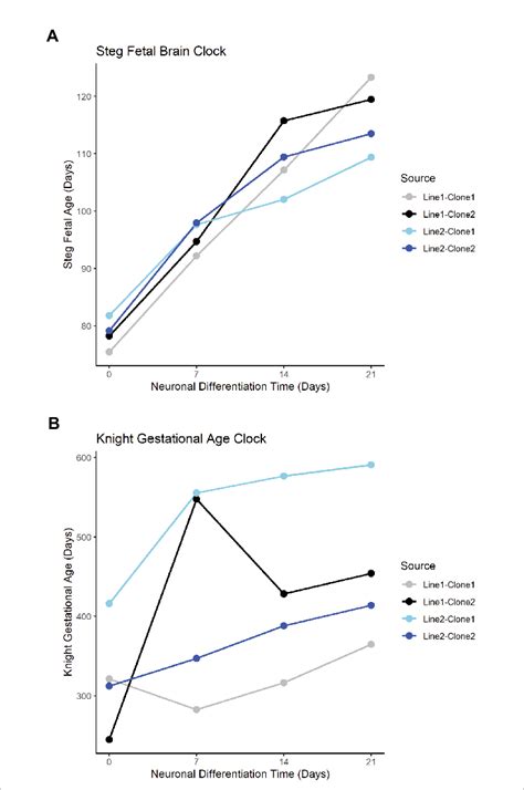 Fetal Clocks Plotted Against Neuronal Differentiation Time For Steg Download Scientific Diagram