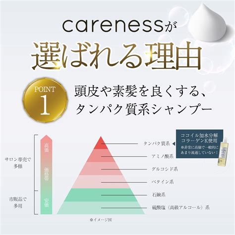 公式 Careness ケアネス シャンプー500ml 大ボトル 美容室専売 サロン ダメージケア 泡パック 頭皮ケア コラーゲン ボタニカル