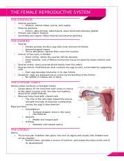 Chapter 28 Docx THE FEMALE REPRODUCTIVE SYSTEM THE GENITALIA Internal Genitalia O Ovaries