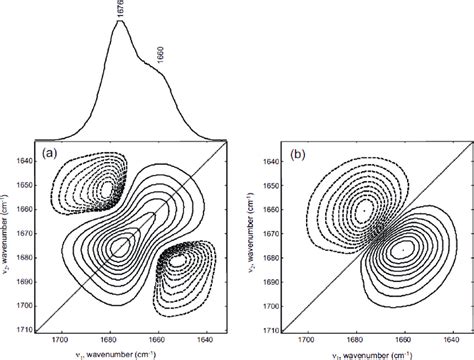 synchronous a and asynchronous b 2d ftir correlation spectra of pvp