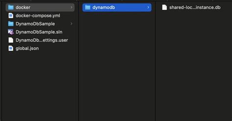 easy way to use dynamodb locally and manage data dev community