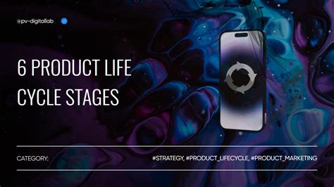 6 Product Life Cycle Stages