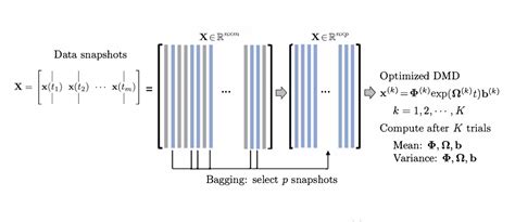 Optimized Dynamic Mode Decomposition For Reconstruction And Forecasting