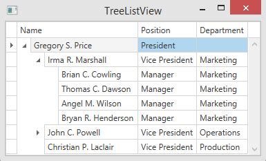 Create And Assign Views WPF Controls DevExpress Documentation