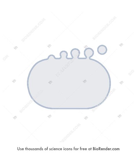 Free Membrane Budding Large Pill Shaped Membrane Small Vesicle Icons Symbols And Images