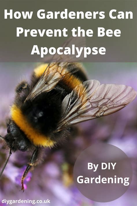 Protect Bees How Gardeners Can Prevent The Bee Apocalypse Bee Bee Keeping Honey Bee Facts
