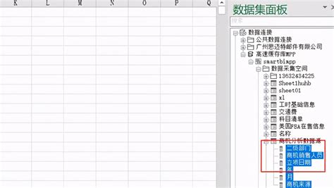 Excel应用之商机分析：smartbi助你抓住每个销售机会 正数办公