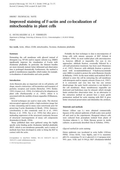 Pdf Improved Staining Of F Actin And Co Localization Of Mitochondria