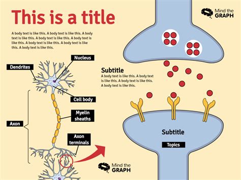 How To Plan And Design A Graphical Abstract In Three Steps Mind The Graph Blog