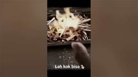 Lah Kok Bisa Gitu Youtube