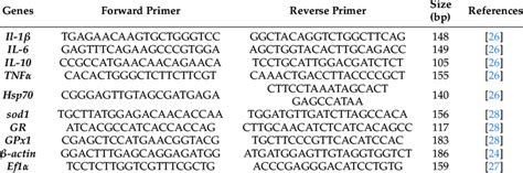 Primer Sequences Amplification Size And Literature References Download Scientific Diagram