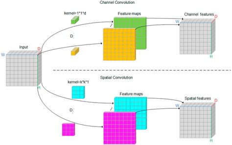 Structure Of The Parallel Separable Convolution The Separable Download Scientific Diagram
