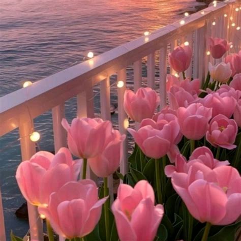 Diana Kamila Youtube