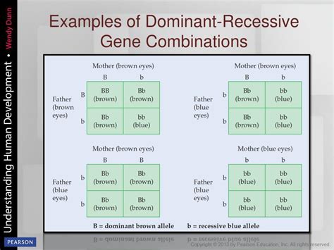 Ppt Heredity And Environment Powerpoint Presentation Free Download