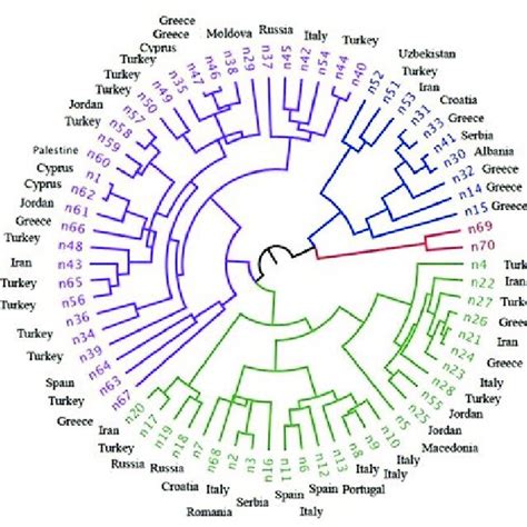 Skyline Plot Of Crocus Species Based On Combined Sequence Data Set