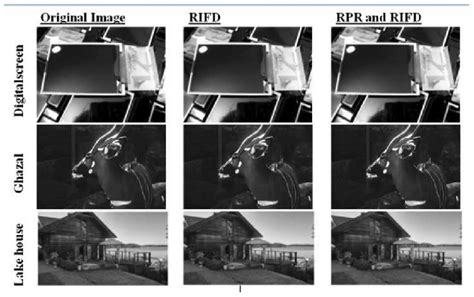Sample Of The Test Images Grayscale 16 Bit Before And After Compression Download Scientific