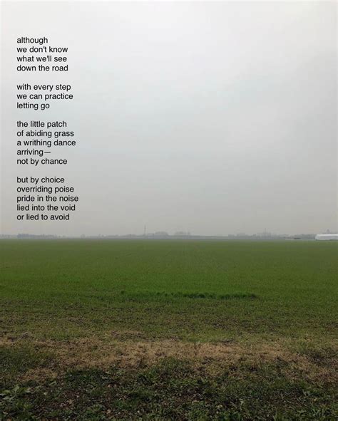 Moon Fog Aeri Medium