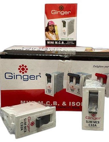 Ginger 6 32 Amp Single Pole Modular Mcb At ₹ 49 50 Piece Mcb In New Delhi Id 27629272088