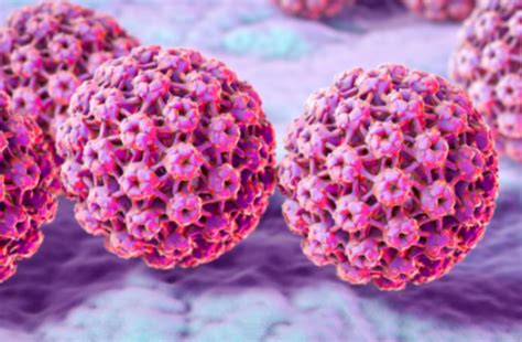Human Papillomavirus Hpv Head And Neck Cancer Australia
