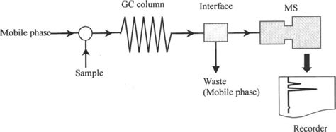 Basic Gc Ms Schematic Diagram Figure Py Gcms Testing Proc