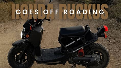 Honda Ruckus The Ultimate Off Road Scooter Youtube